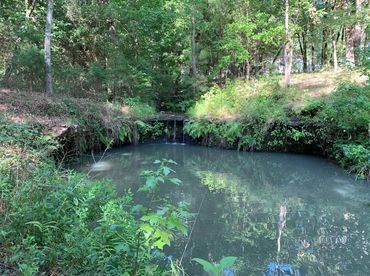 Gallery | Tarrant Ranch